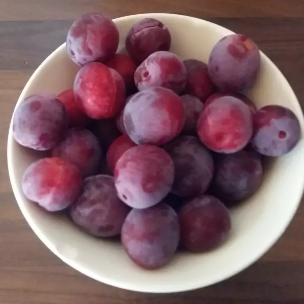 Luumupuu Kuokkala FinE® 150-200 Prunus domestica 'Kuokkala' - Pinsiön ...